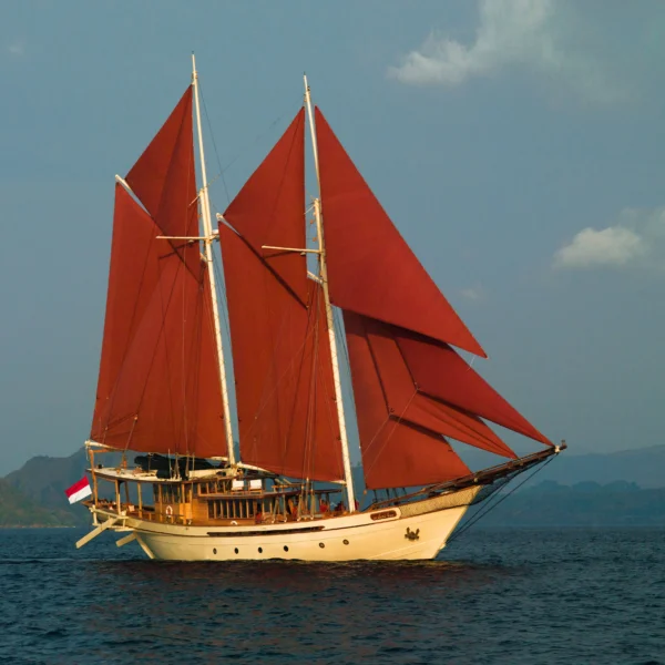 Komodo Island Boat Tour | Raja Ampat Boat Tour July 2024