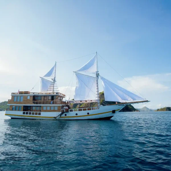 Komodo Island Boat Tour | Raja Ampat Boat Tour July 2024